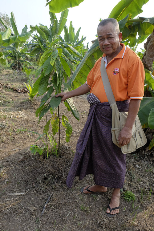 Myanmar: Cacao of Excellence