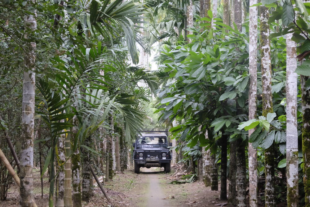 Myanmar: Cacao of Excellence