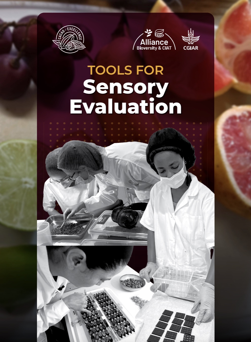 Guide for the Assessment of Cacao Quality and Flavour: Cacao of Excellence