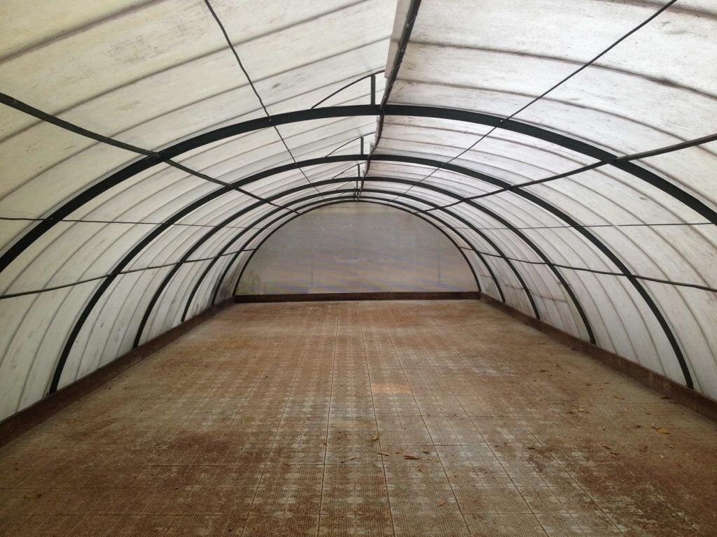 Dominican Republic Jose Antonio Martinez Rojas Seccion El Rejon: Cacao ...