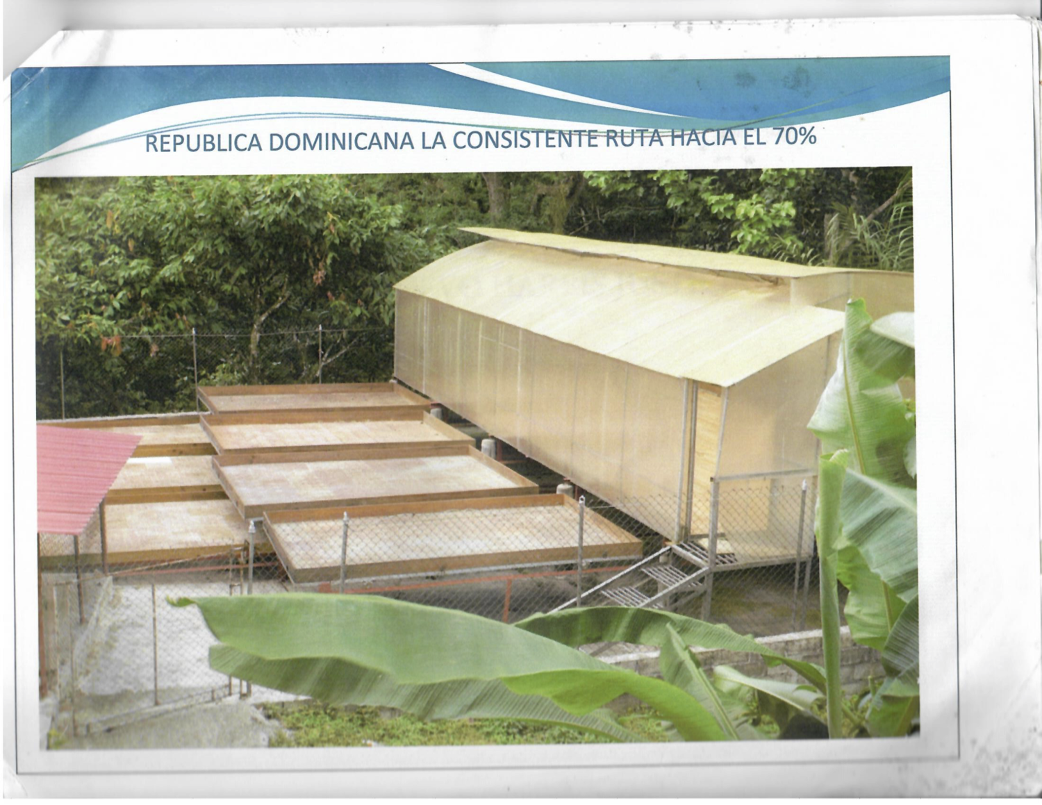 Dominican Republic Jose Antonio Martinez Rojas Seccion El Rejon: Cacao ...