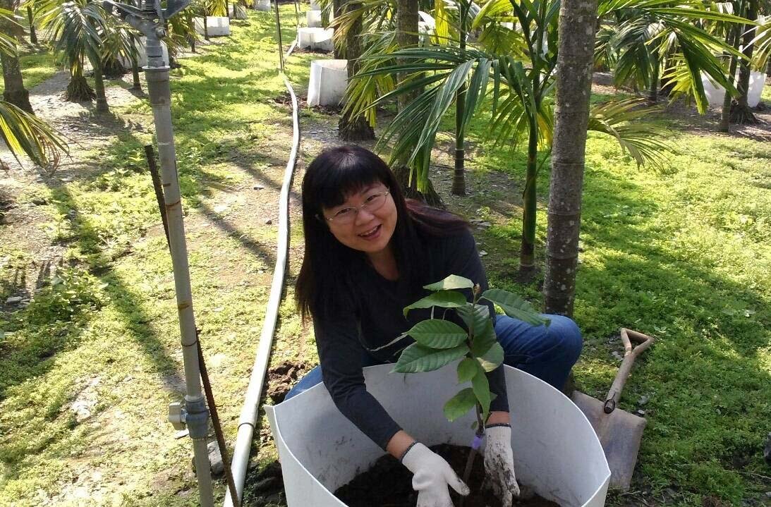 Taiwan Joy Cacao Coffee Plantations | Cacao of Excellence