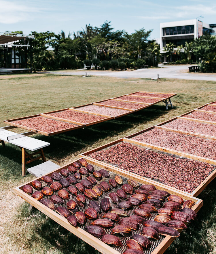 Taiwan Fu Wan Chocolate: Cacao of Excellence