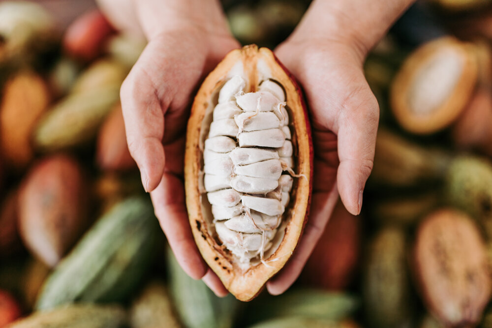 Taiwan Fu Wan Chocolate: Cacao of Excellence