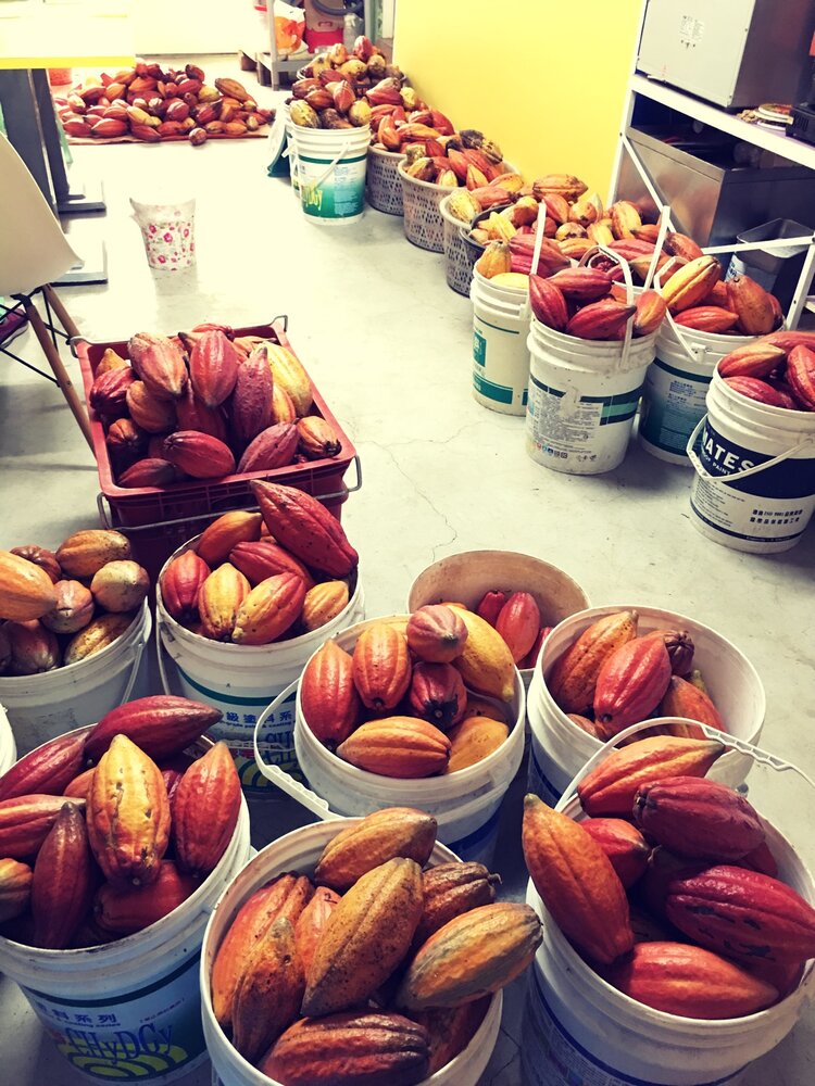 Taiwan Joy Cacao Coffee Plantations | Cacao of Excellence