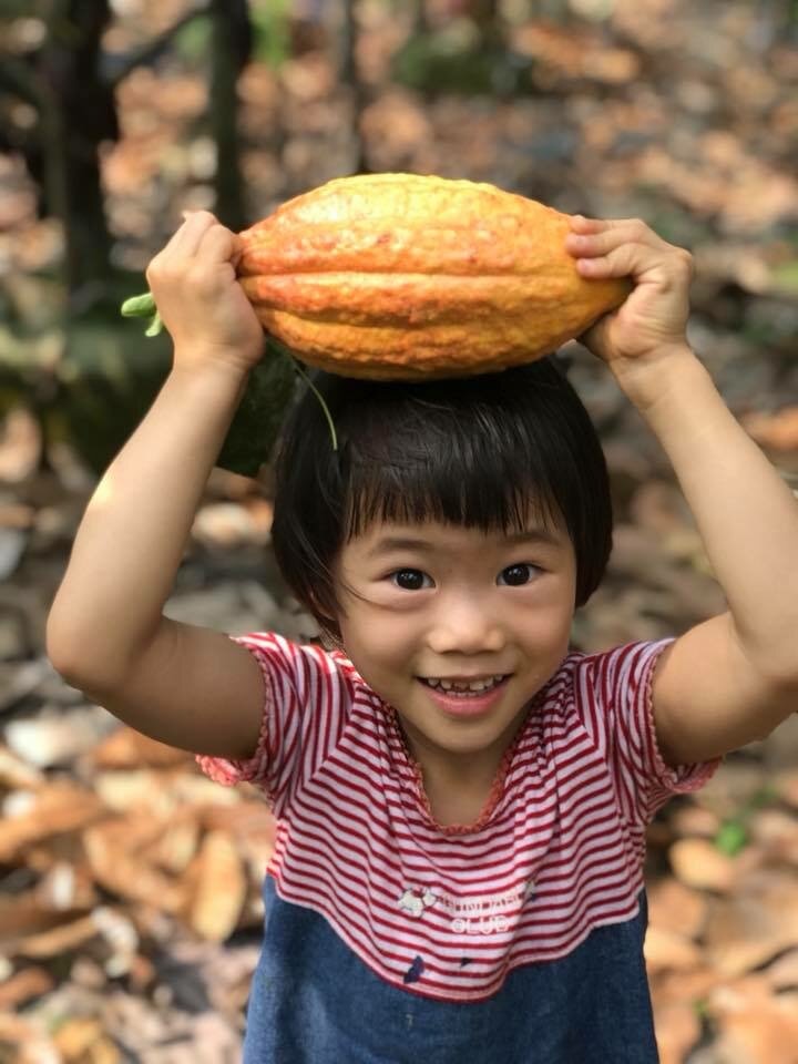Taiwan Joy Cacao Coffee Plantations | Cacao of Excellence