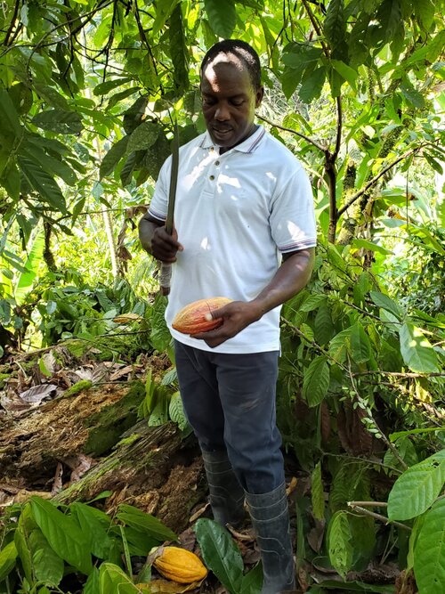 Trinidad and Tobago Leroy Peters: Cacao of Excellence