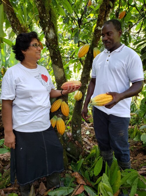 Trinidad and Tobago Leroy Peters: Cacao of Excellence